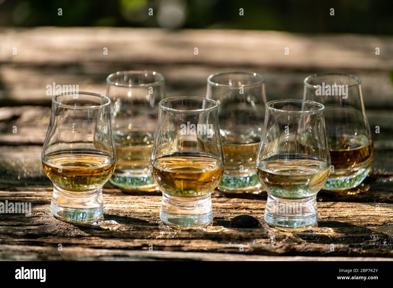 Tasting of different Scotch whiskies on outdoor terrace, dram of ...