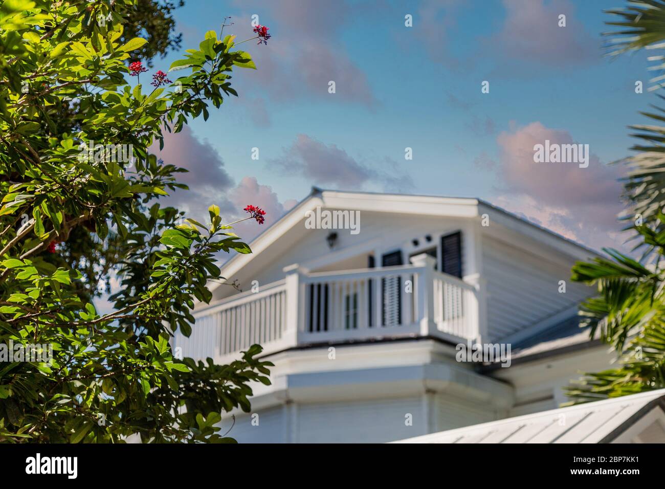 Deck in background hi-res stock photography and images - Alamy