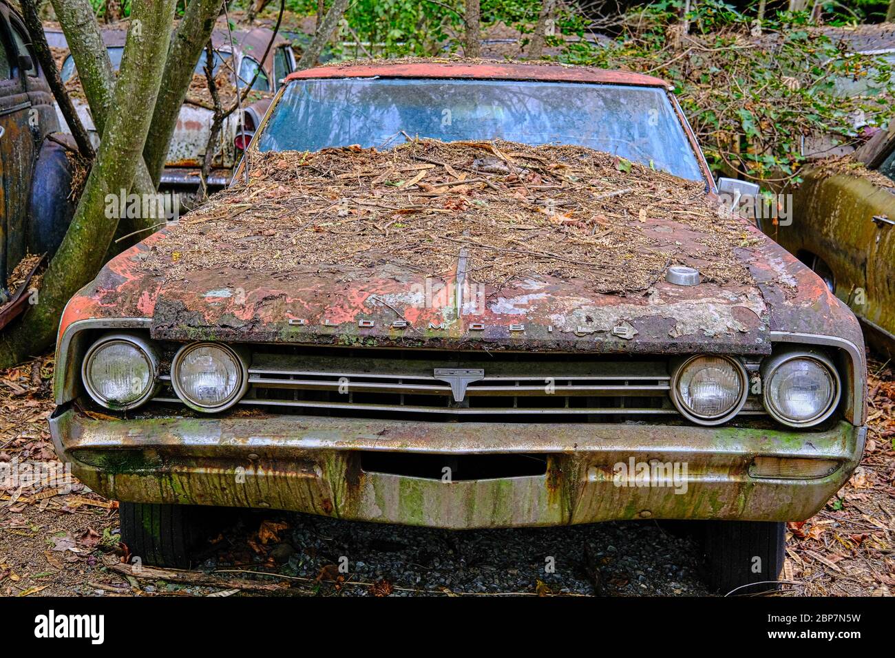 Fathers car hi-res stock photography and images - Alamy