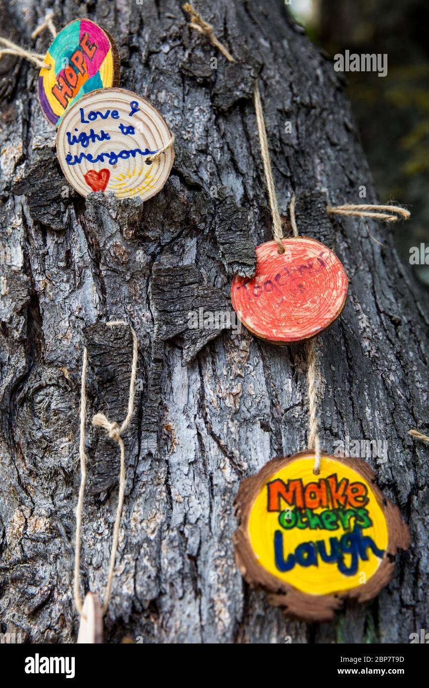 On Sunday 17th May, 2020, I discovered this 'Positivity Tree' filled ...