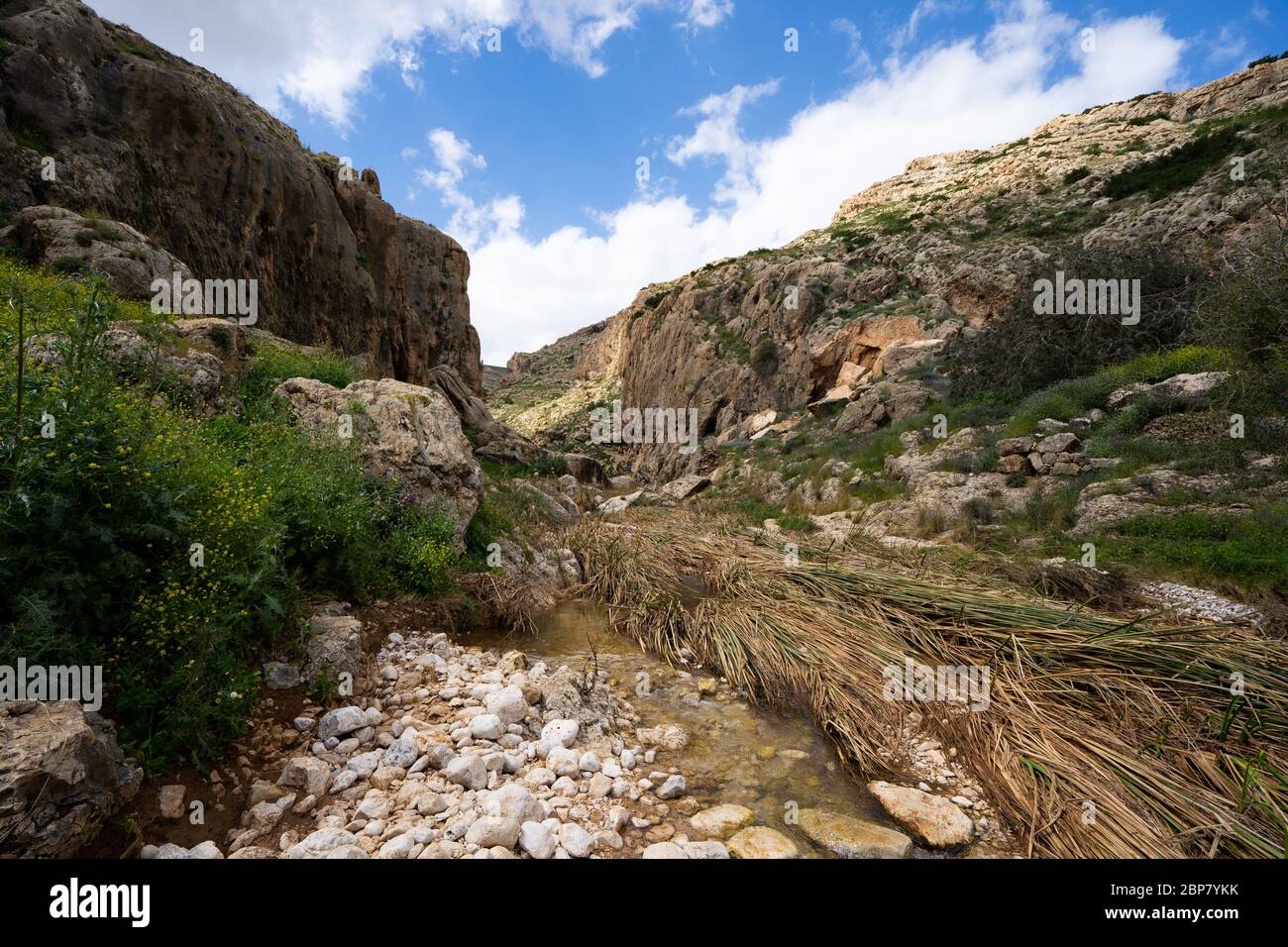 Wadi qelt hi-res stock photography and images - Alamy