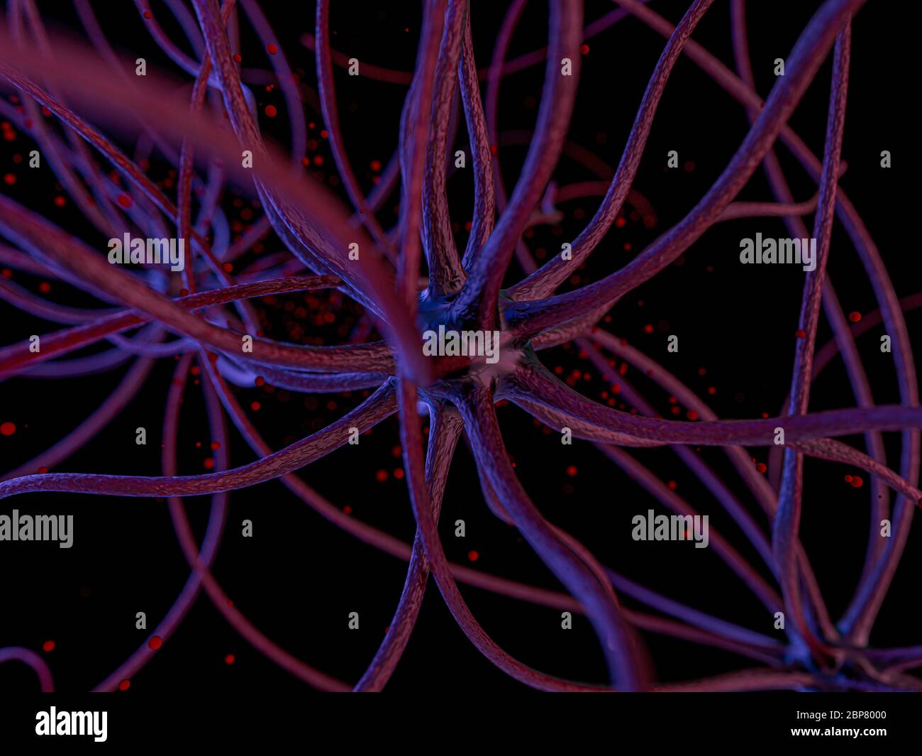 Vascular plant fine roots looking like a neural network. 3D rendering ...