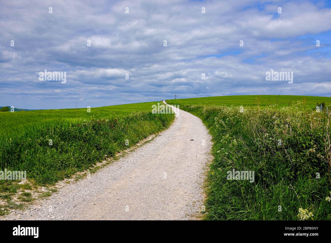 Woodingdean Brighton UK - Rough path track across the South Downs Stock ...