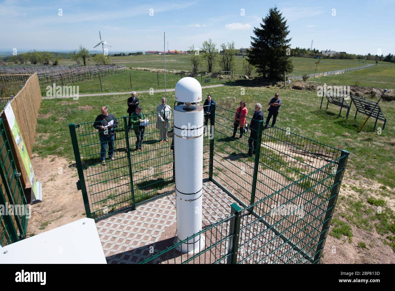 Sapos hi-res stock photography and images - Alamy