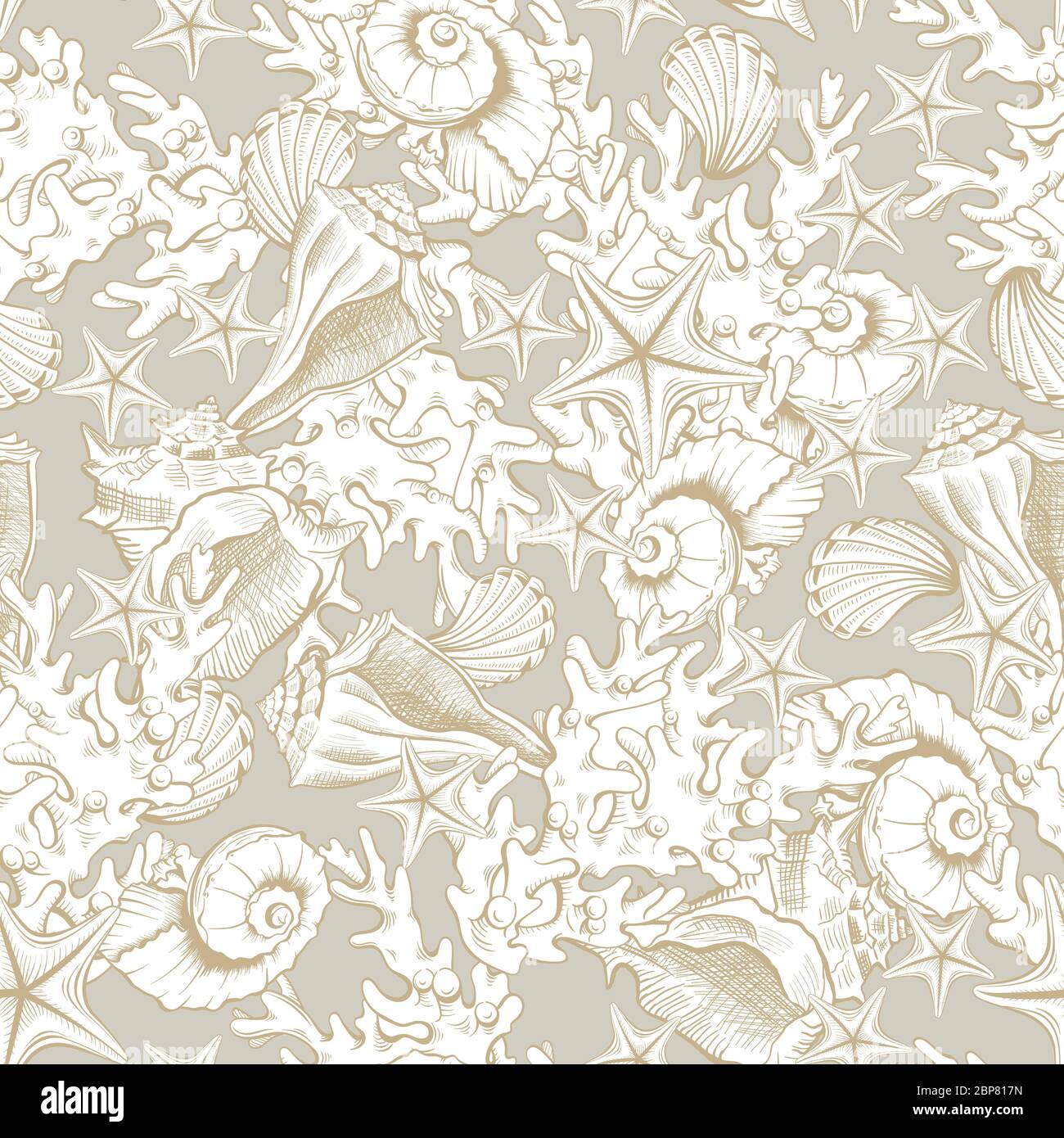 Seashells pattern background, vector sea shell, corals and starfish ...