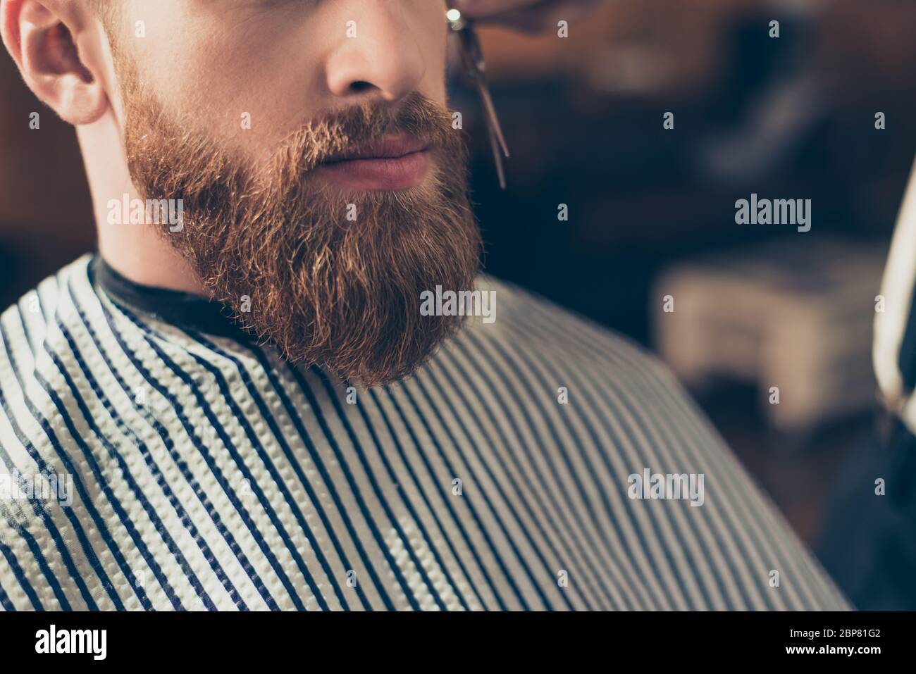 Close up cropped photo of a styling of a red beard. So trendy and ...