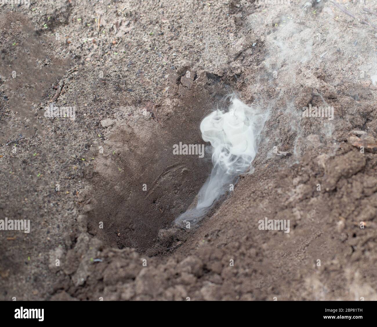 Common mole rat hi-res stock photography and images - Alamy