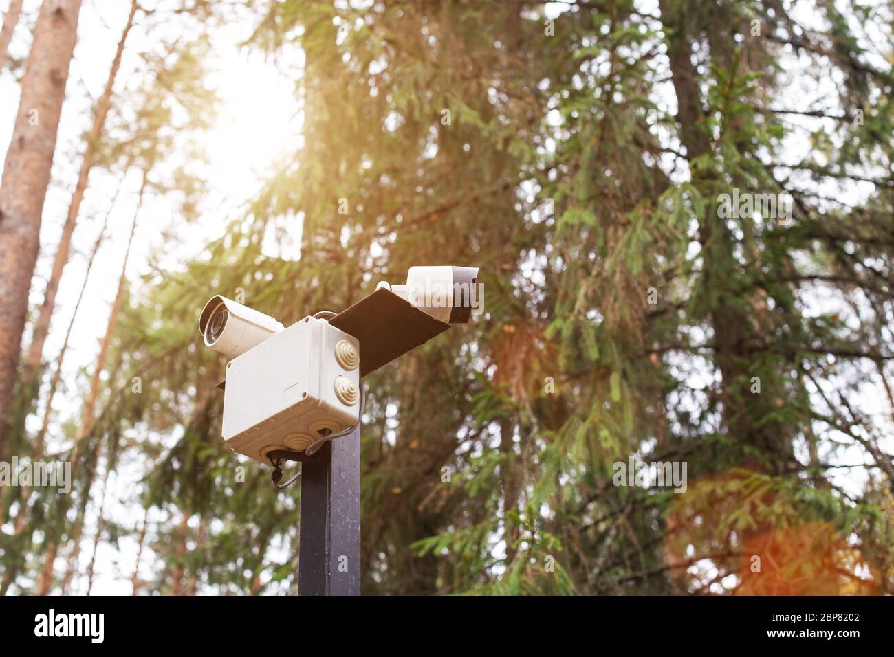 Tracking animals hi-res stock photography and images - Alamy