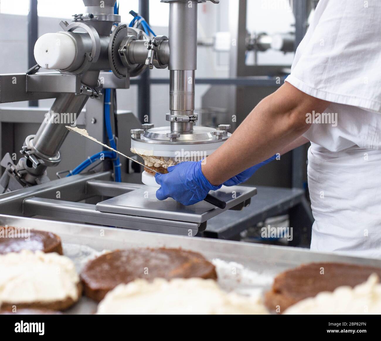 Production Line Biscuit Factory High Resolution Stock Photography and ...