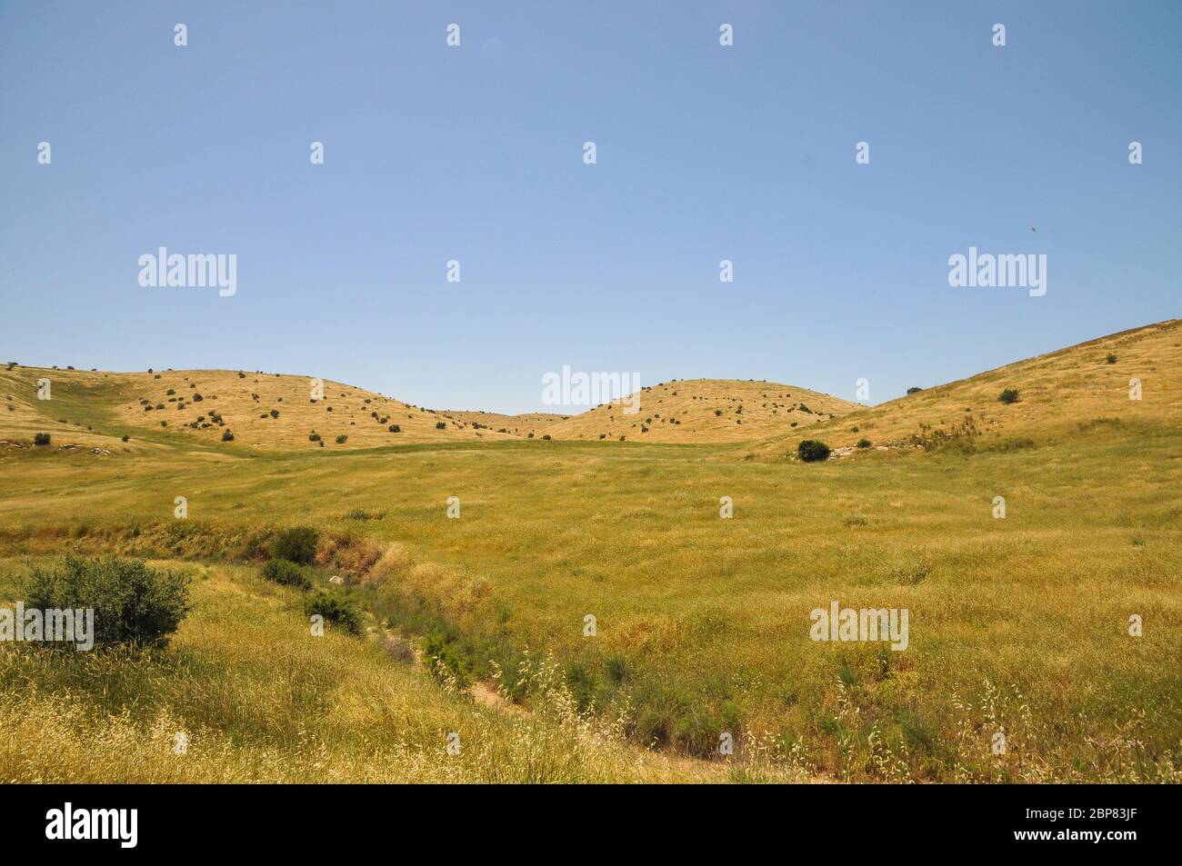 Spring desert landscape. After an exceptionally rainy winter, the ...