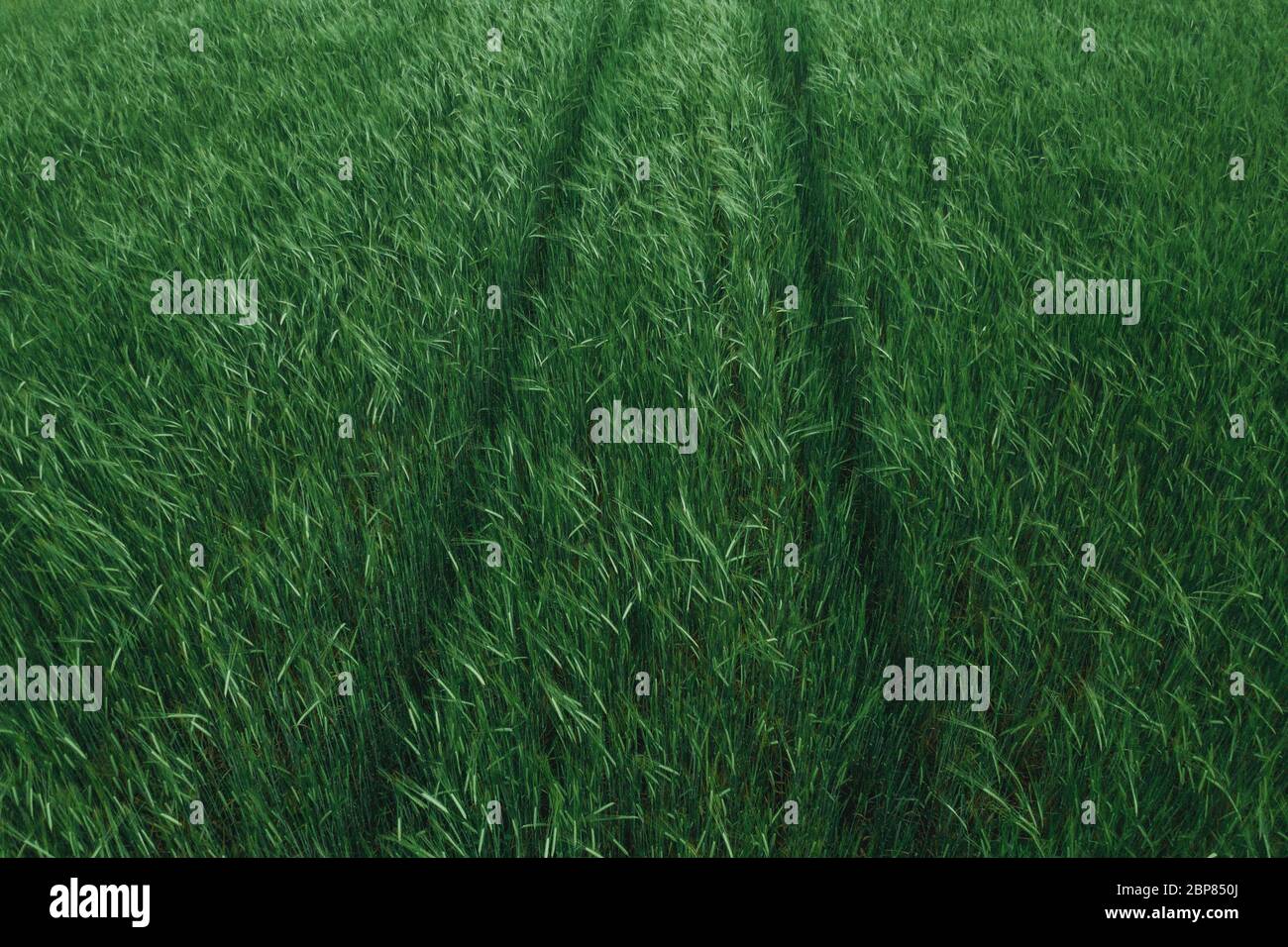 Aerial texture hi-res stock photography and images - Alamy