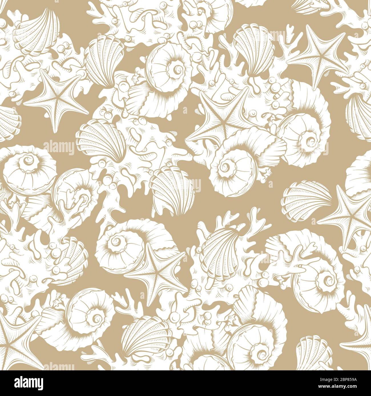 Engraved Sea Shell High Resolution Stock Photography and Images - Alamy