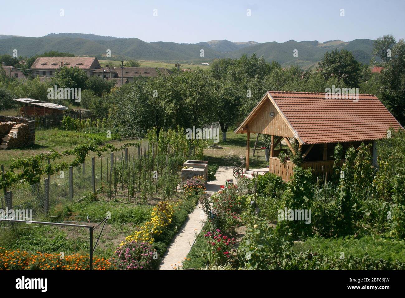 Backyard of a house in Romania's countryside, with a vegetable garden ...