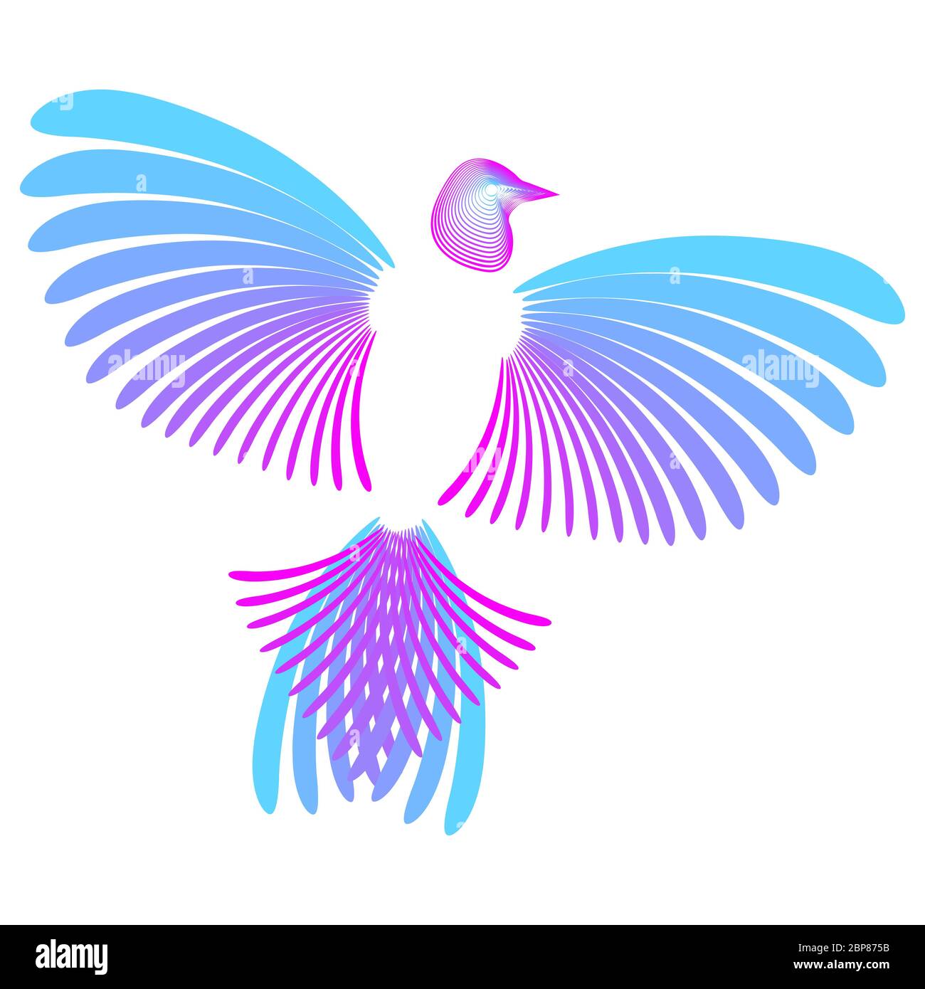 Bird head feather tail Stock Vector Images - Alamy