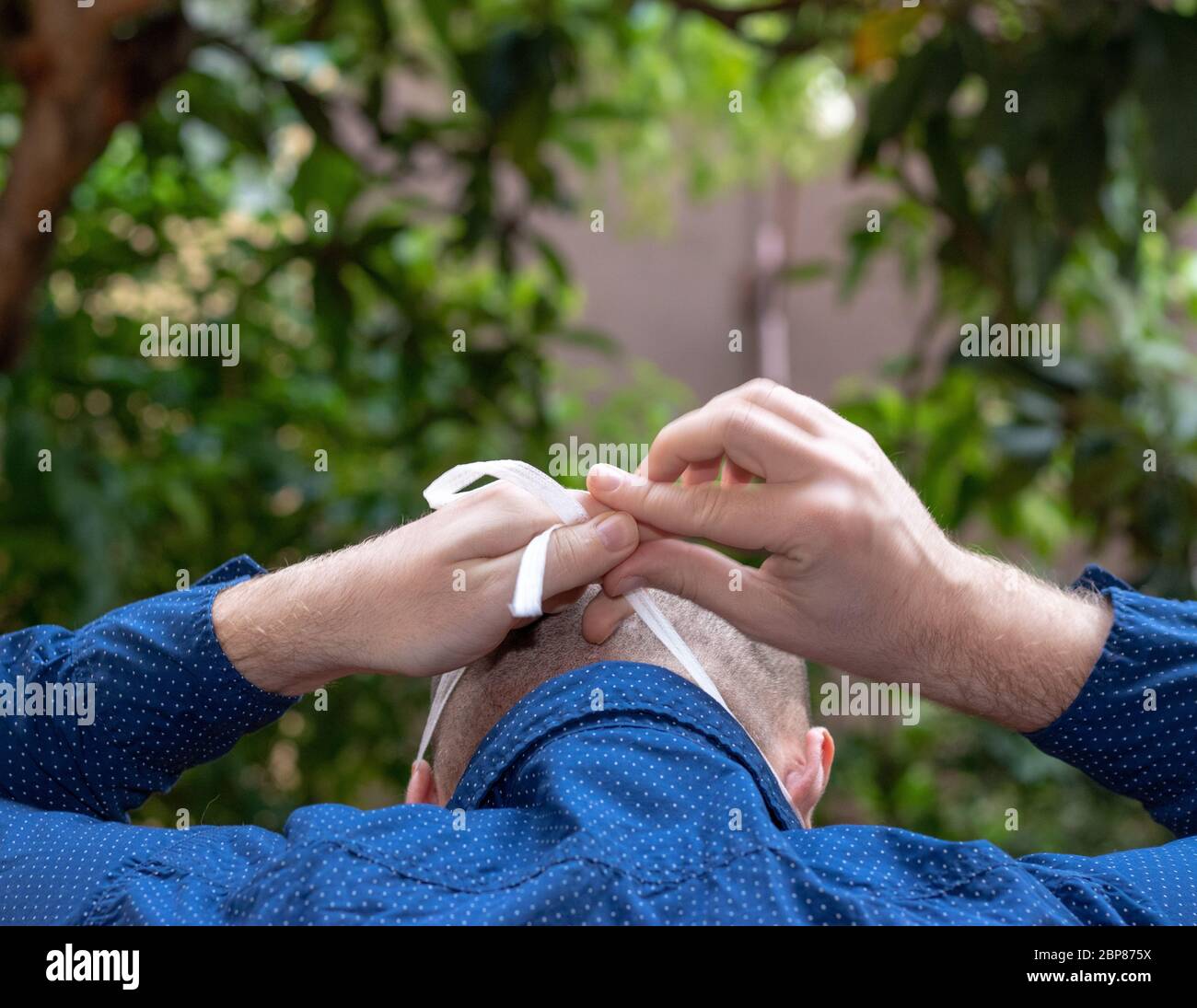 Back view of a bald man putting on a face mask and tying it up behind ...