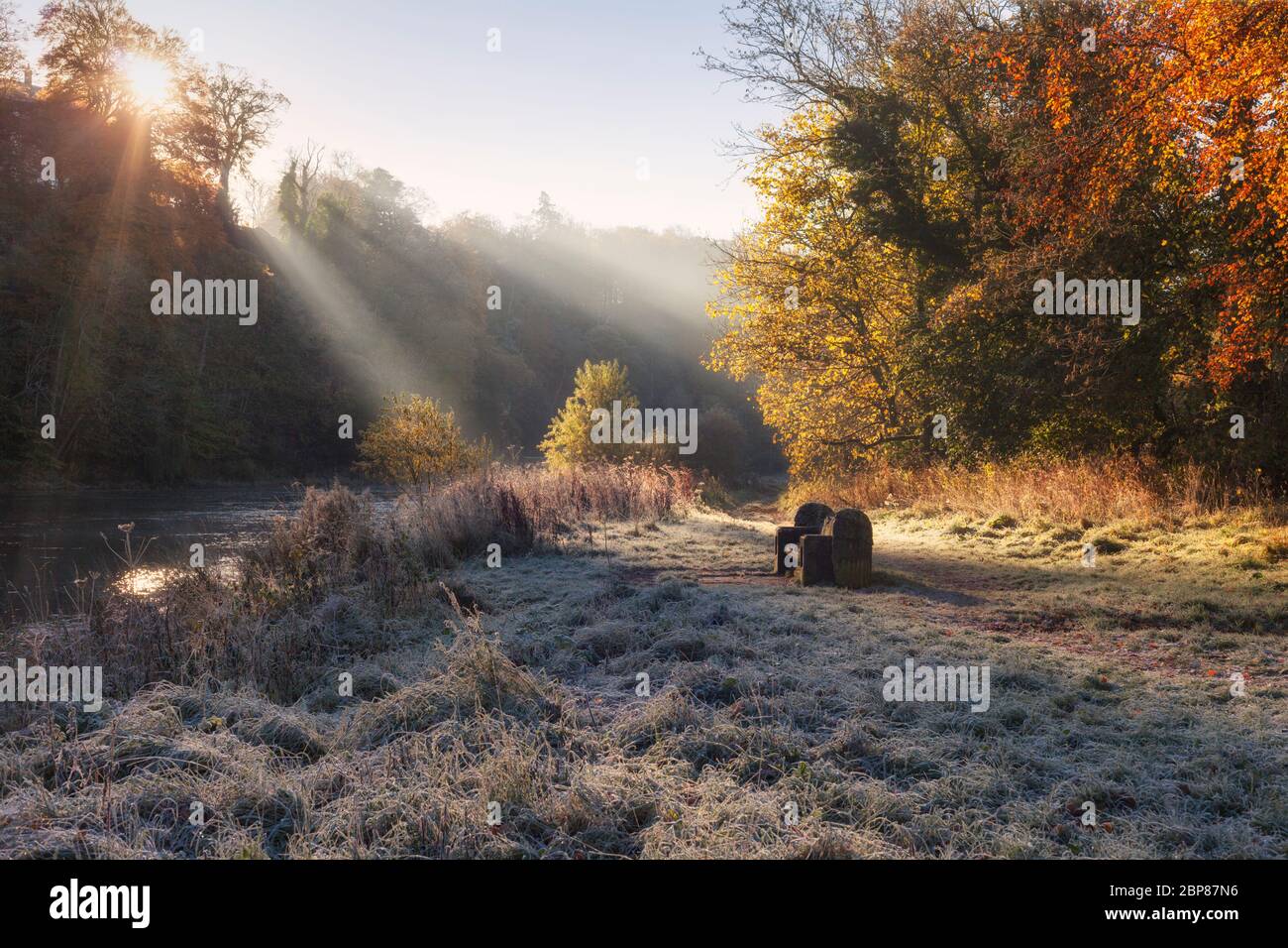 River eden at wetheral hi-res stock photography and images - Alamy