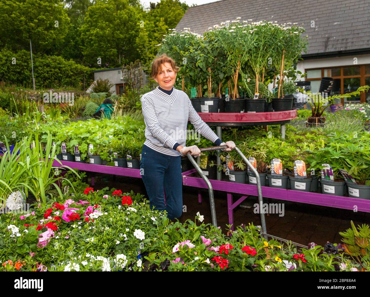 Monkstown hi-res stock photography and images - Alamy