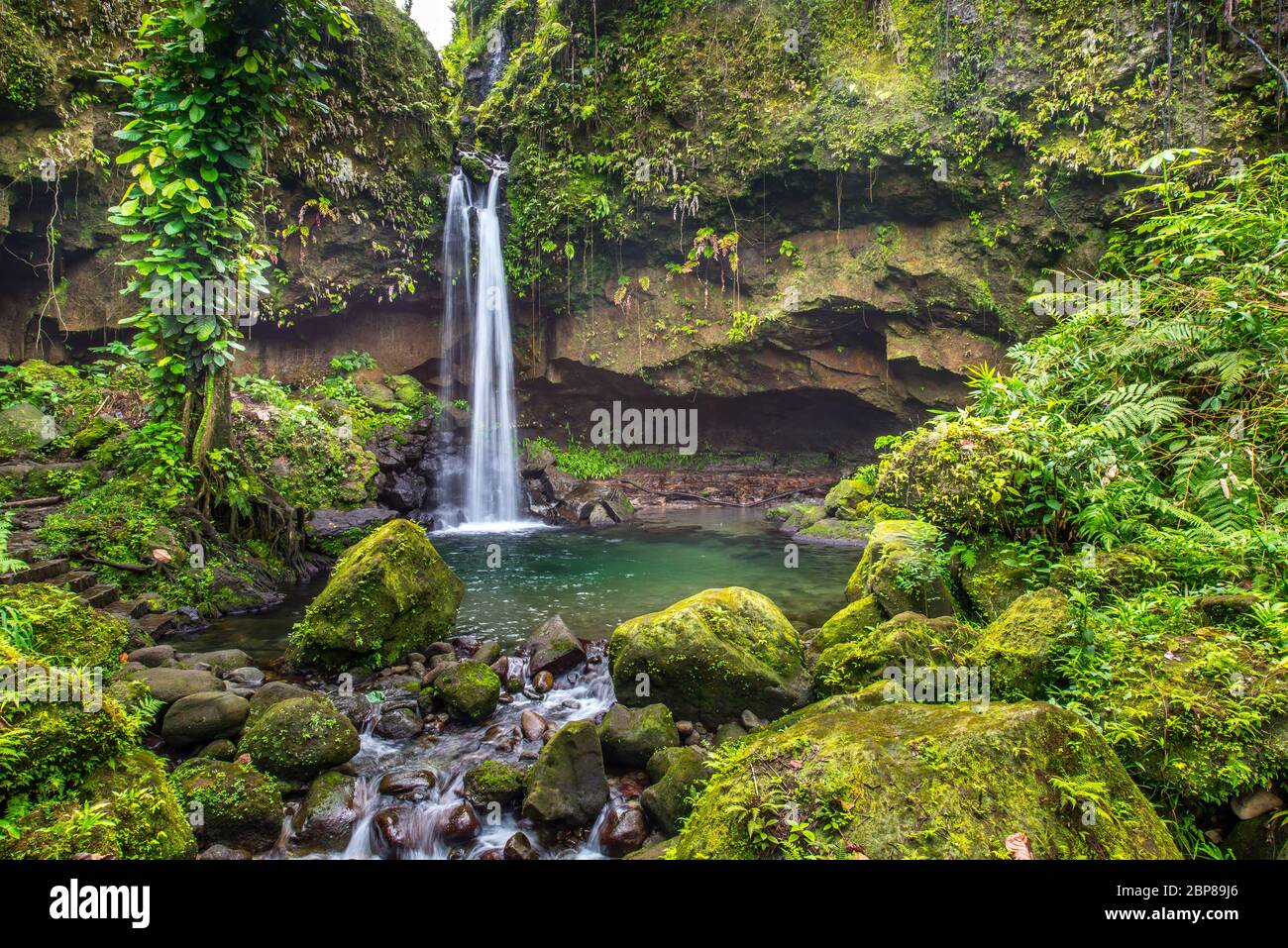 Emerald Pool Dominica Stock Photo - Alamy