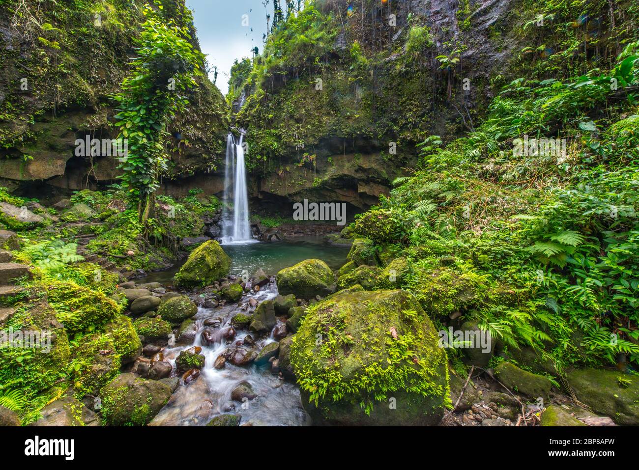 Emerald Pool Dominica Stock Photo - Alamy