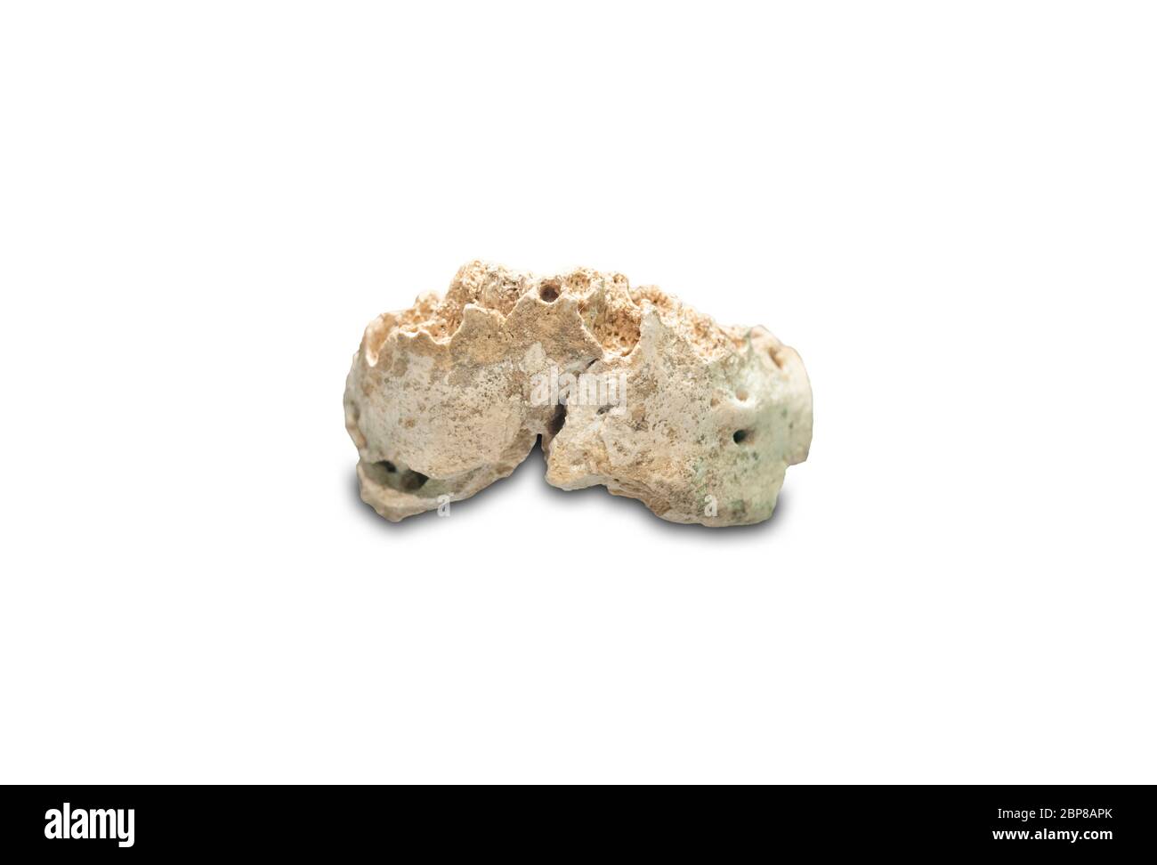 Human neanderthal remains Cut Out Stock Images & Pictures - Alamy