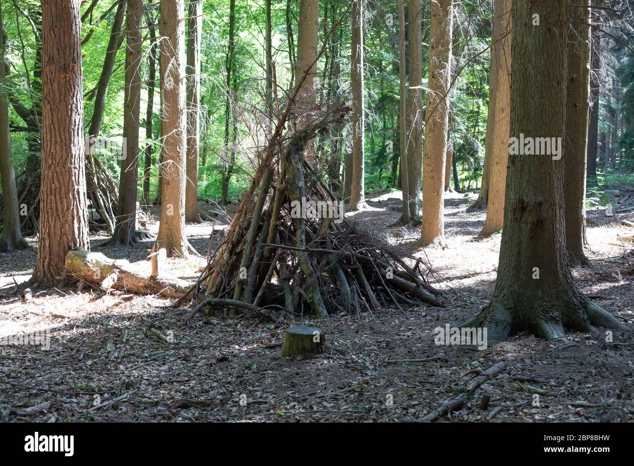 Wigwam bark hi-res stock photography and images - Alamy