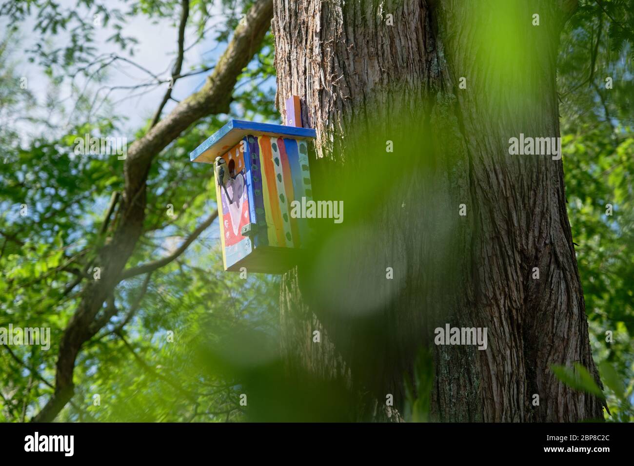 Colorful nesting box with little bird perched on the outside viewed ...