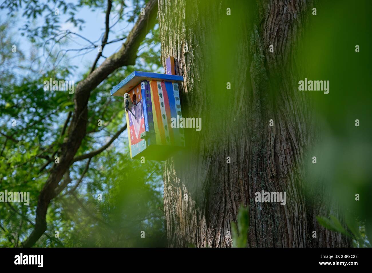 Rustic wooden birdhouse mounted on hi-res stock photography and images ...
