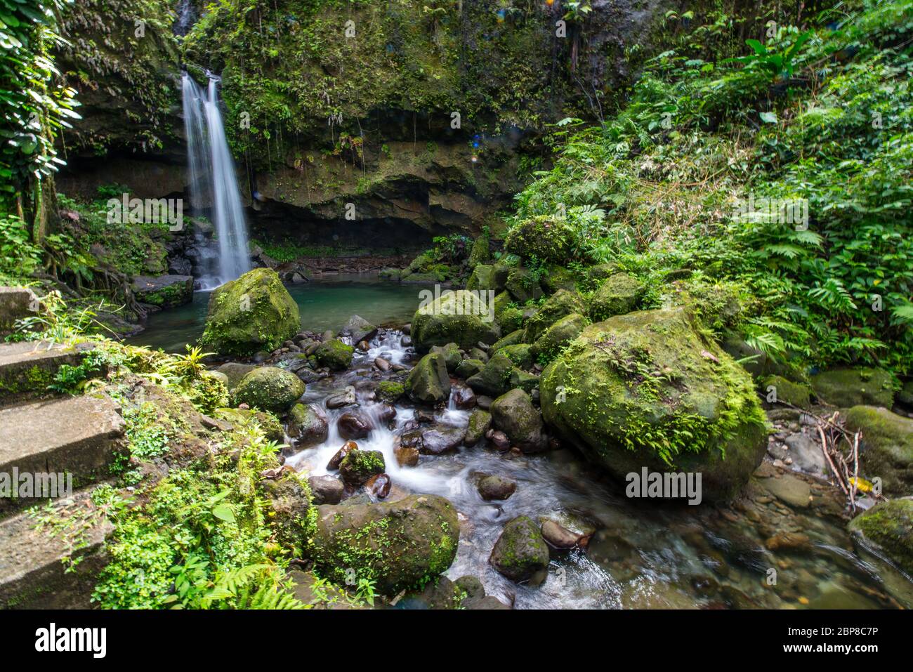 Emerald Pool Dominica Stock Photo - Alamy