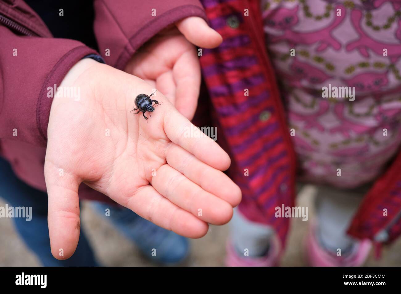 Child Showing Insects High Resolution Stock Photography and Images - Alamy
