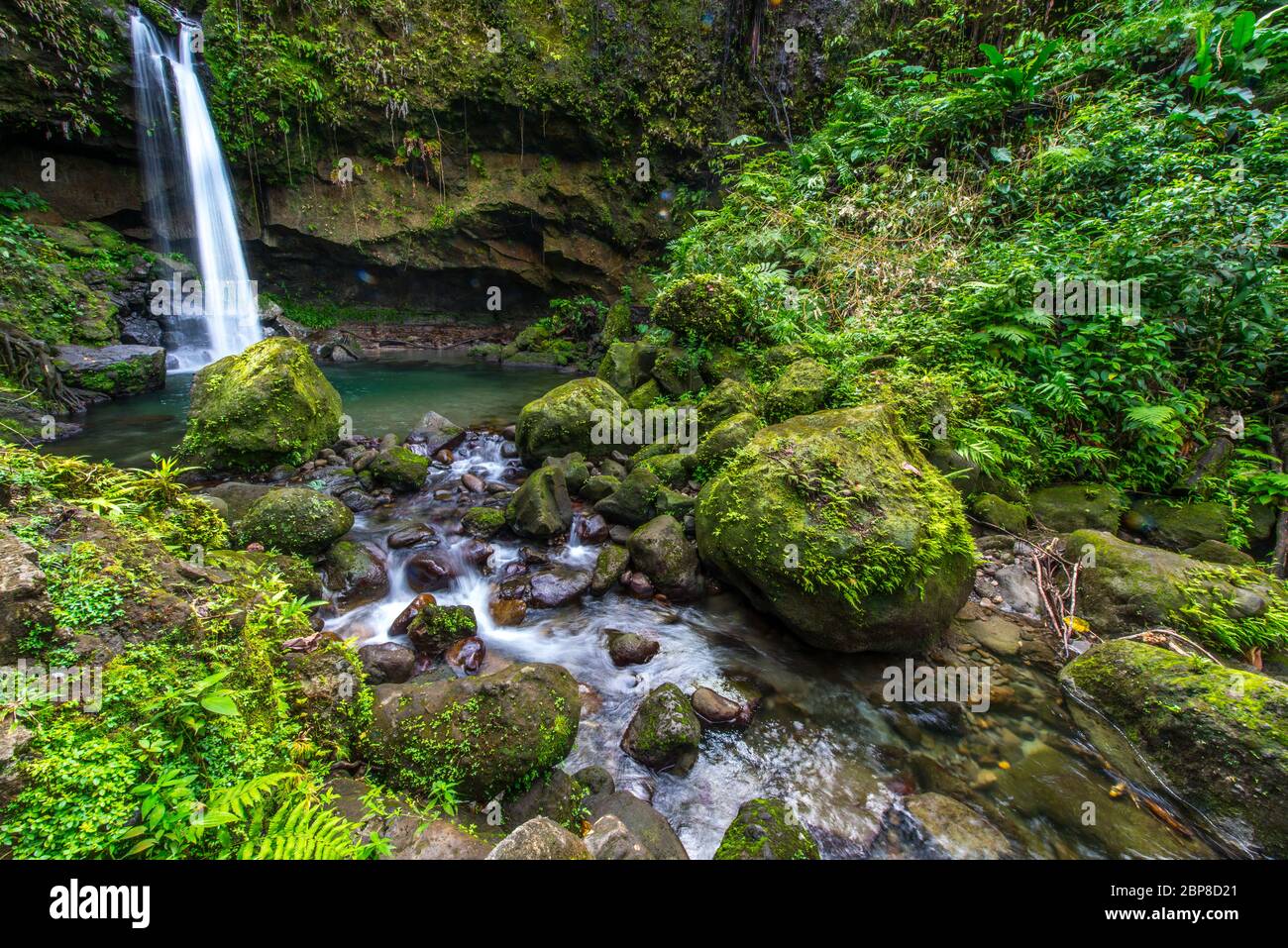 Emerald Pool Dominica Stock Photo - Alamy