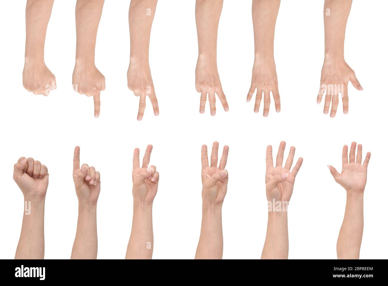 Set of hands counting from zero to five isolated on white background ...