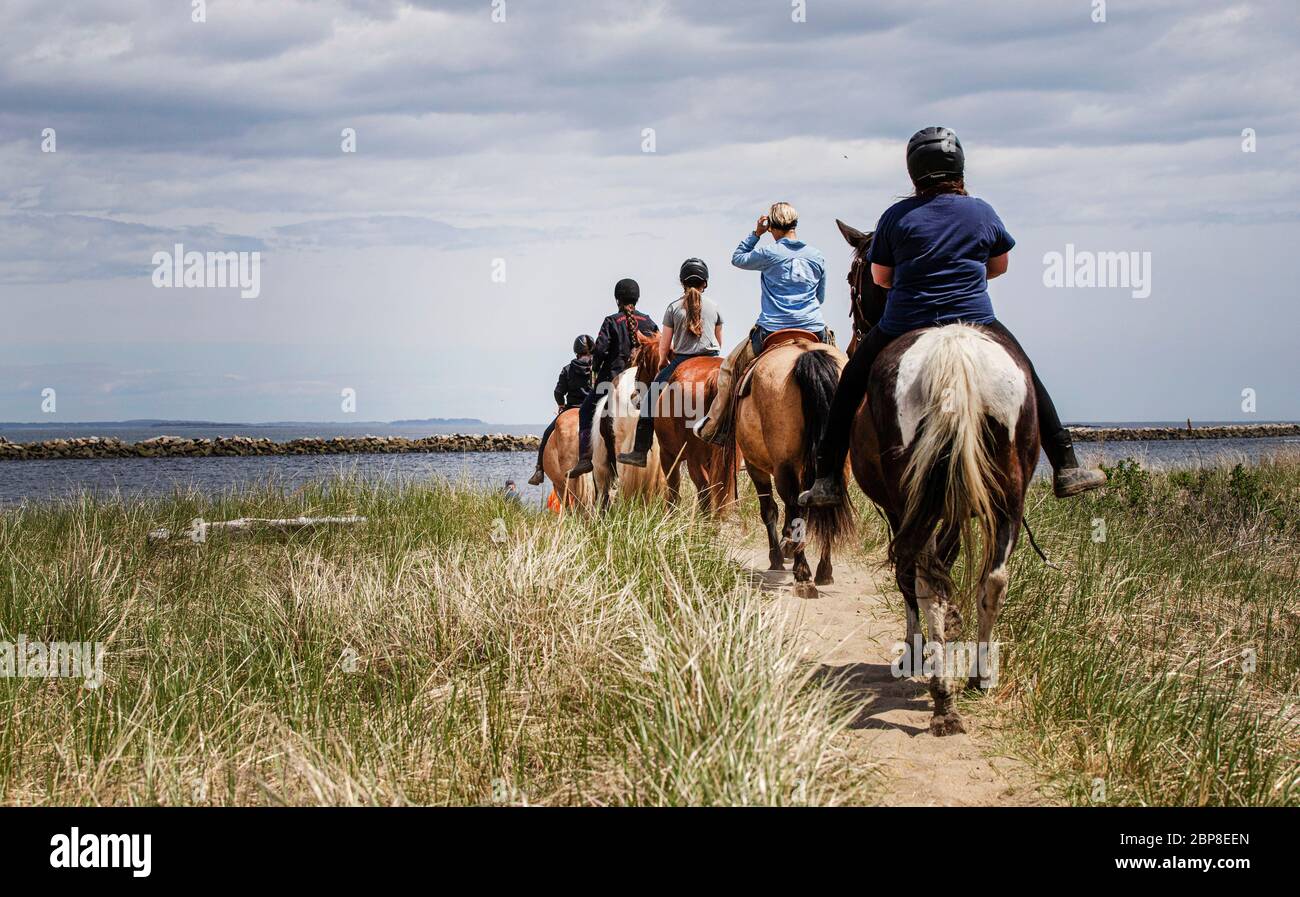 Beautiful day for horse ride on beach with friends Stock Photo - Alamy