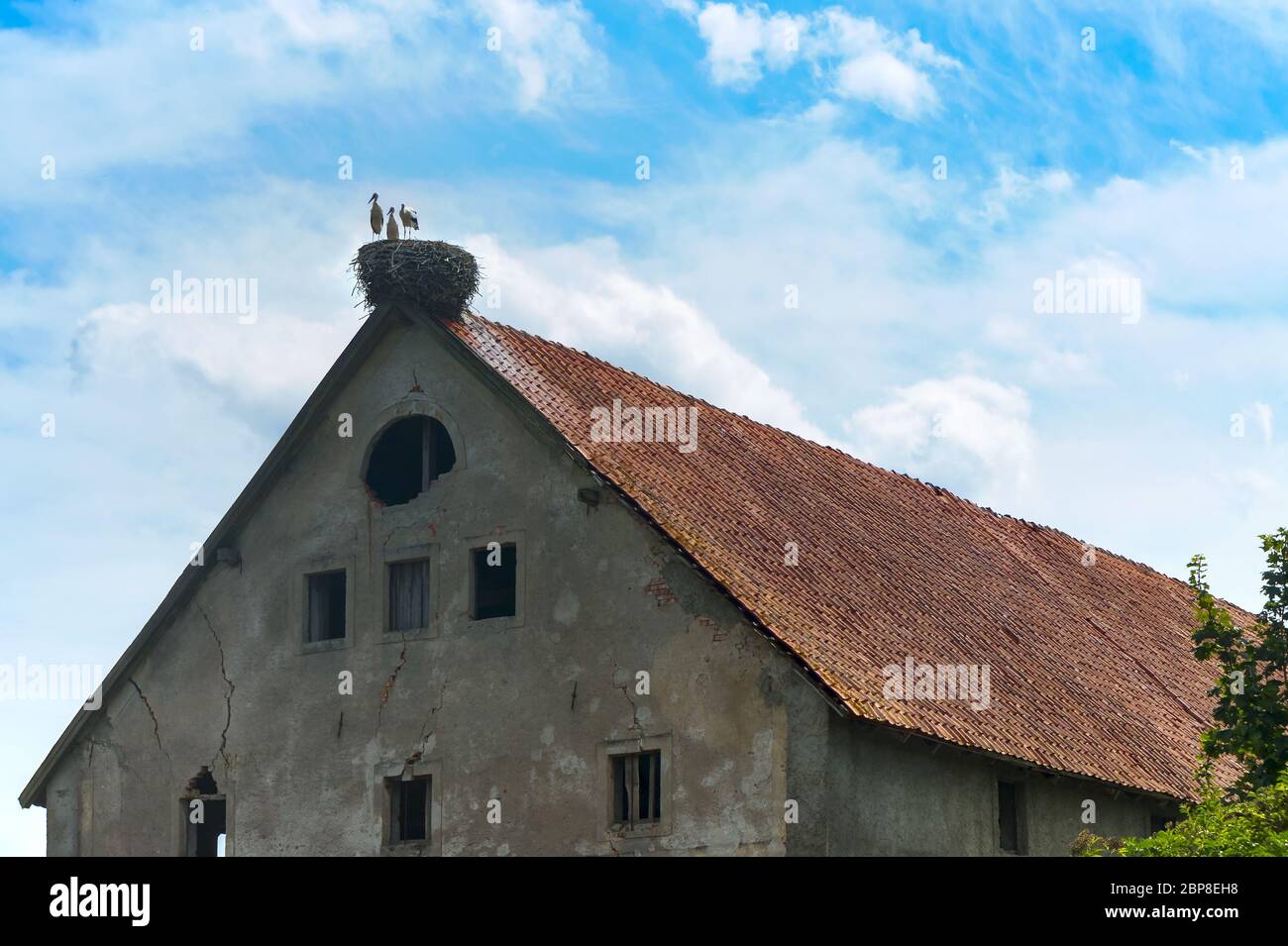 storks nest on the roof, birds nest on the house Stock Photo - Alamy