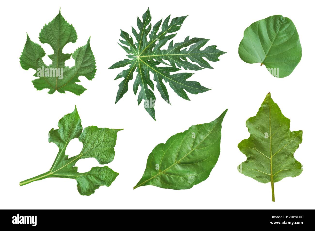 Vector collection set different Cut Out Stock Images & Pictures - Alamy