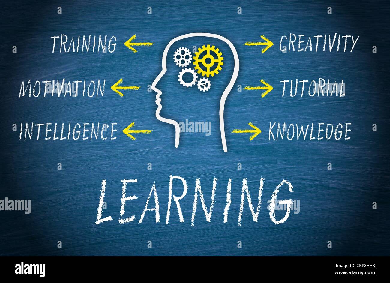 Learning and Education Business Concept Stock Photo - Alamy