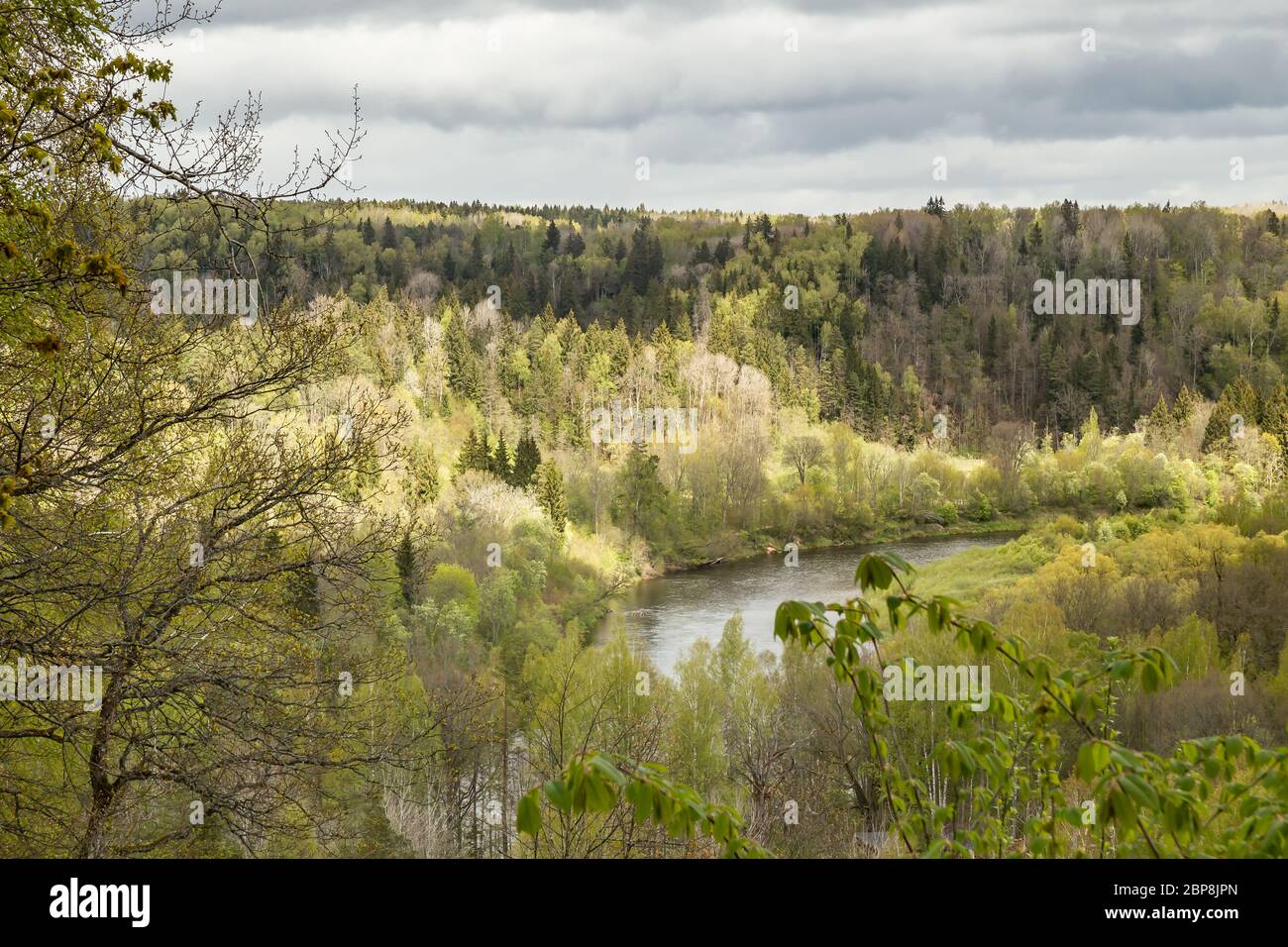 Early spring colors in Gauja national park, Latvia Stock Photo - Alamy