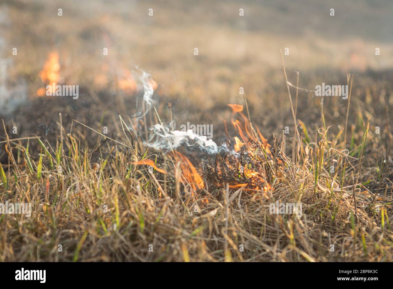 Wildfire location hi-res stock photography and images - Alamy