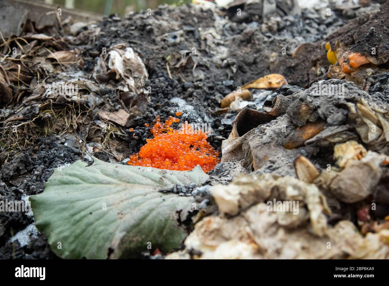 Food quality concept hi-res stock photography and images - Alamy