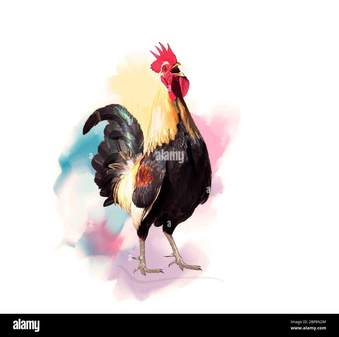 Digital Painting of Crowing Rooster Stock Photo - Alamy