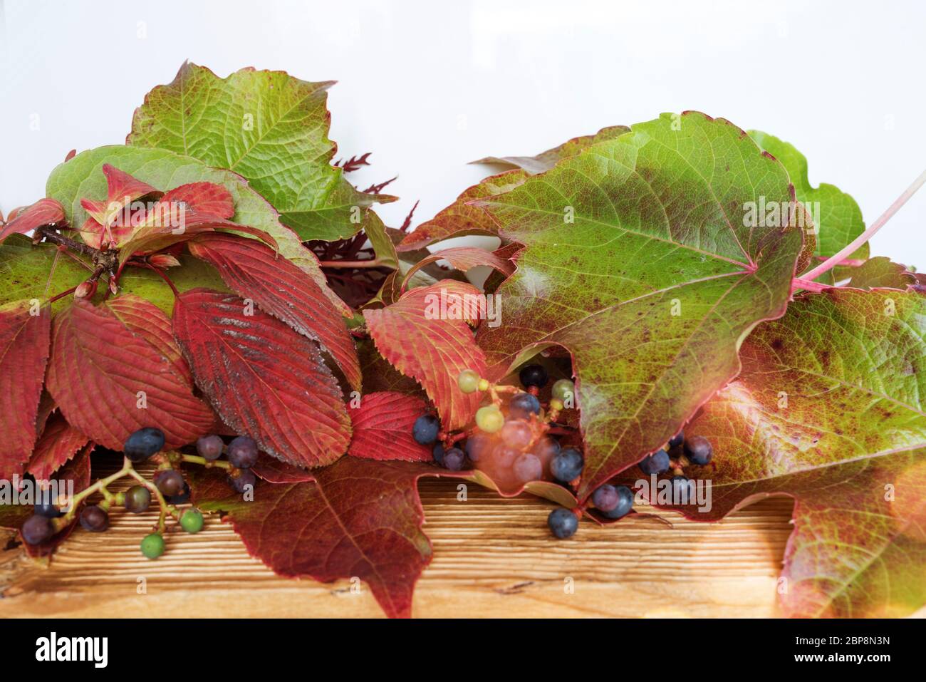 Bright background with autumn leaves on a rustic wooden table Stock ...