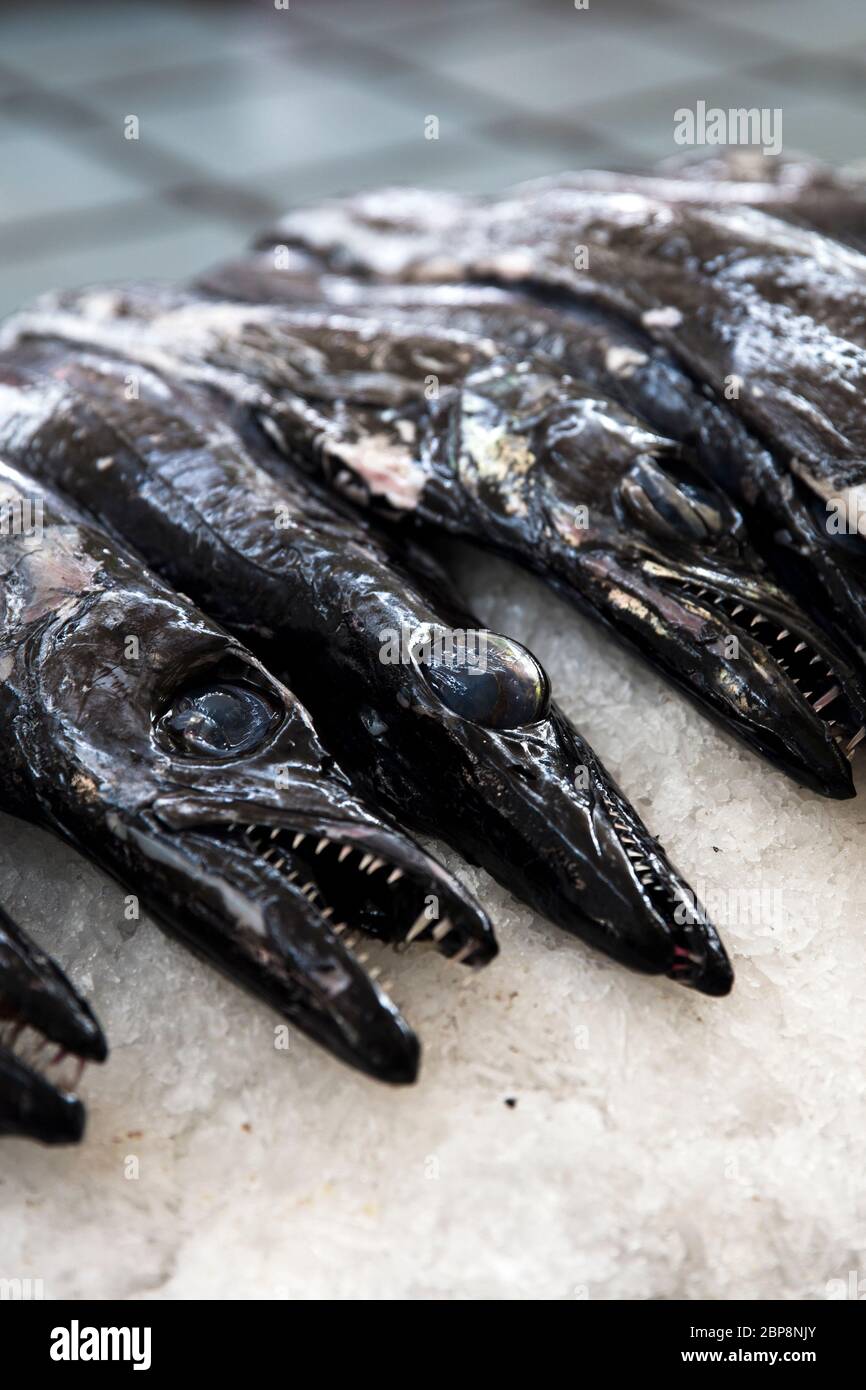 Espada fish hi-res stock photography and images - Alamy