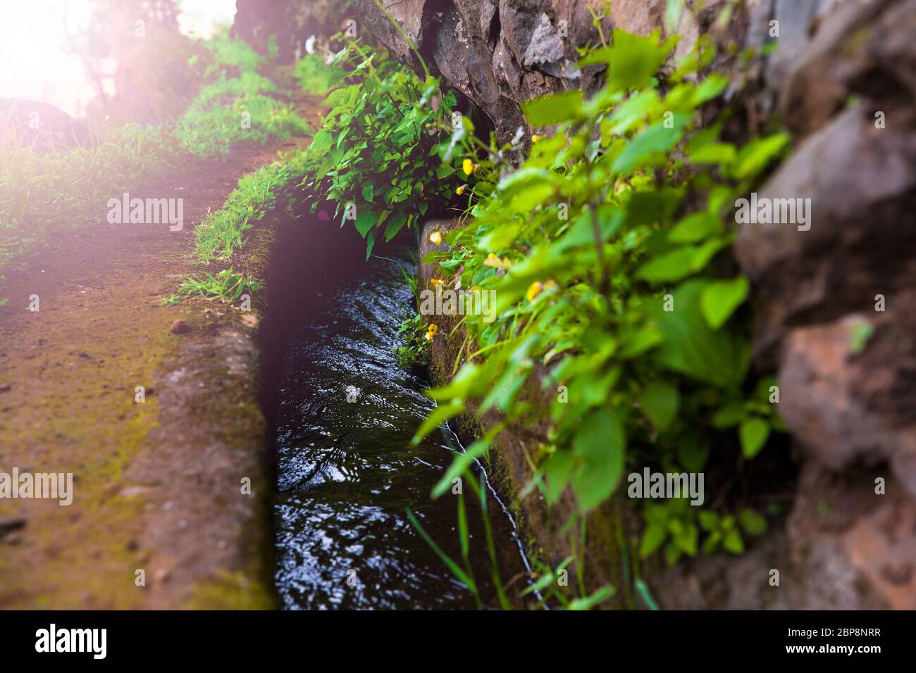 Small irrigation canal hi-res stock photography and images - Alamy
