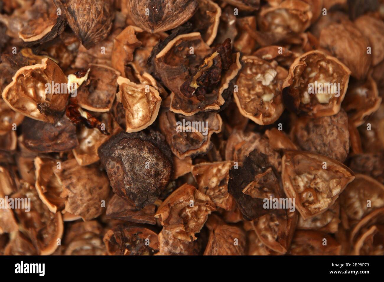 Food nuts wallnut walnut wallnuts hi-res stock photography and images ...