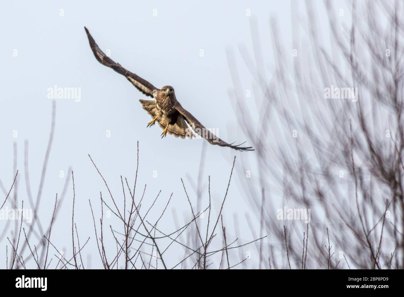 Saarpfalz Kreis High Resolution Stock Photography and Images - Alamy