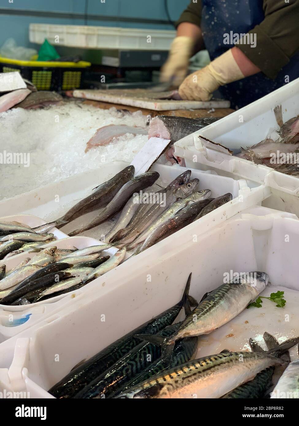 Fresh mackerels and sardines at a fish market Stock Photo - Alamy