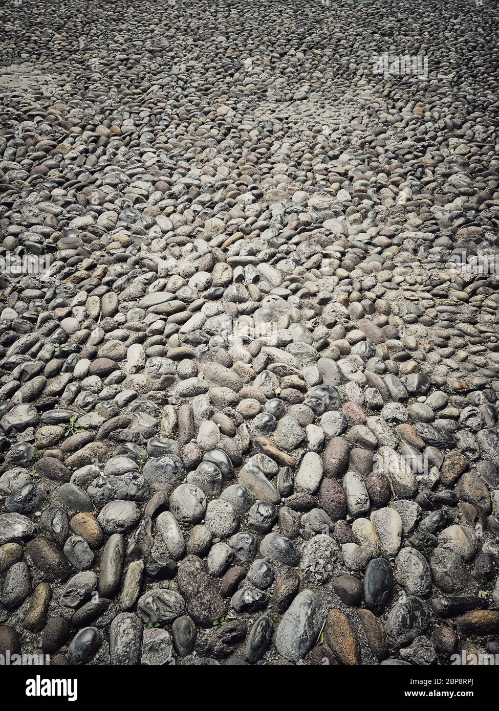 Color image of a pavement made of round stones Stock Photo - Alamy