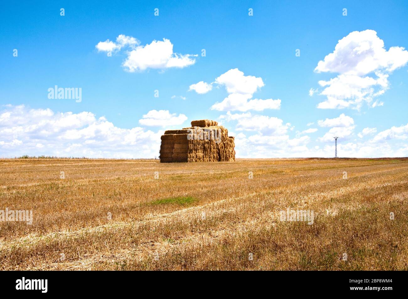 Grass block over a summer wheat field Stock Photo - Alamy