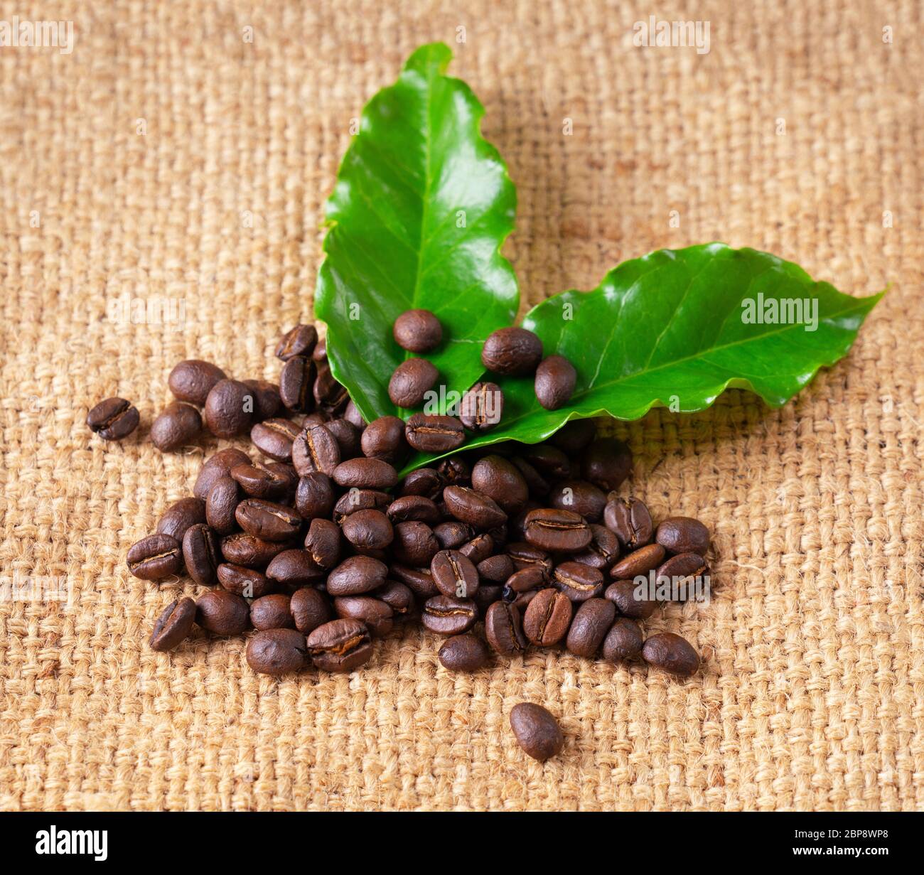 roasted coffee bean with leave on linin sack Stock Photo - Alamy