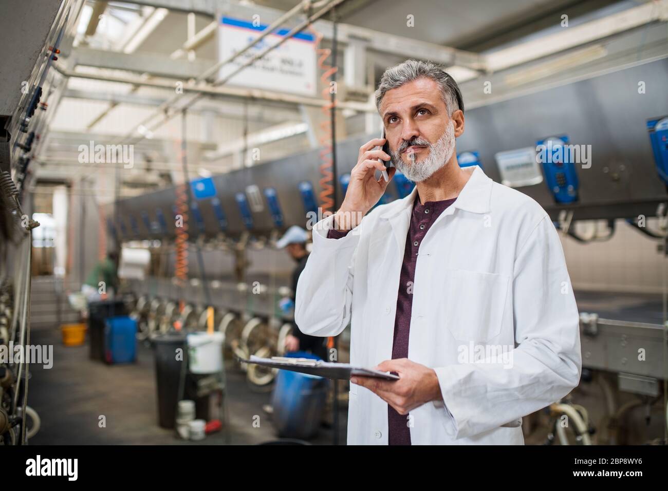 Man manager with smartphone working on diary farm, agriculture industry ...