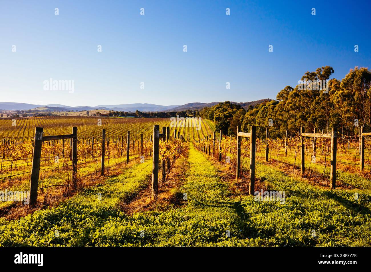 Yarra valley sunset hi-res stock photography and images - Alamy
